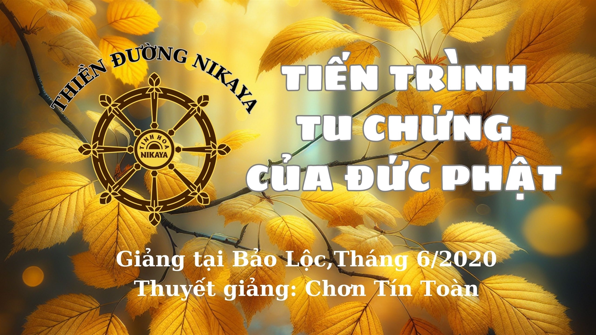 01_TIẾN TRÌNH TU CHỨNG CỦA ĐỨC PHẬT_ CHƠN TÍN TOÀN | Thiền Đường Nikaya Chơn Tín Toàn